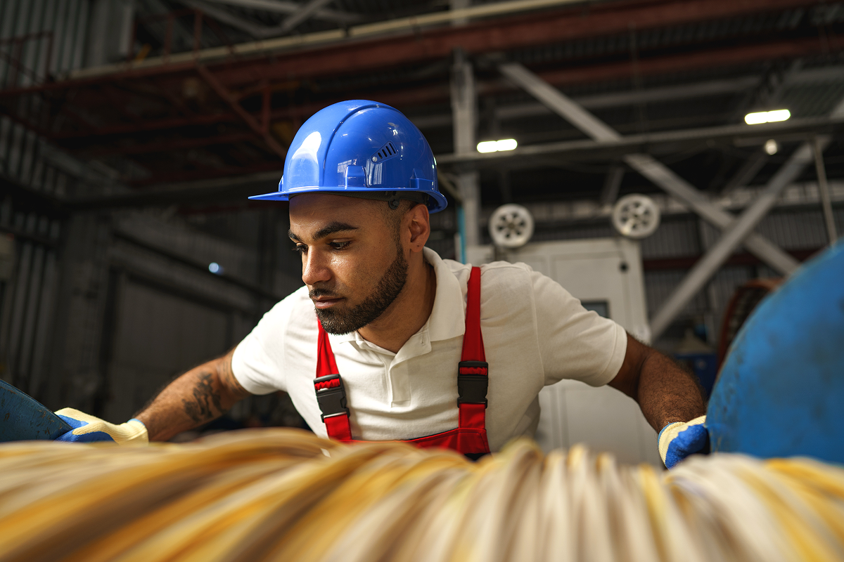 Subclass 494 Visa – Skilled Employer Sponsored Regional Visa